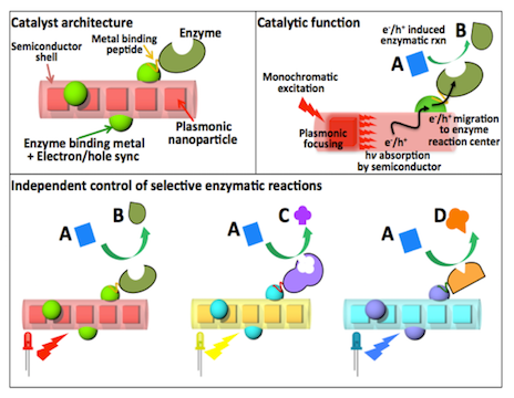 Research | Center for Catalysis