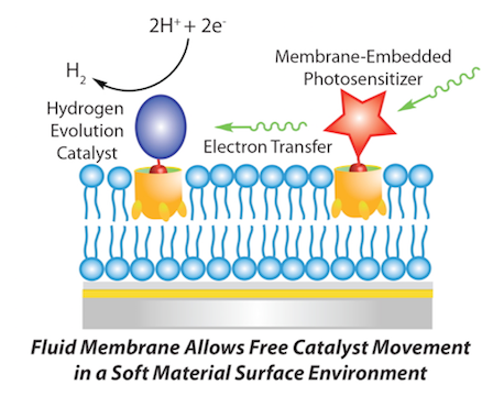 Catalyst Movement Process | Center for Catalysis